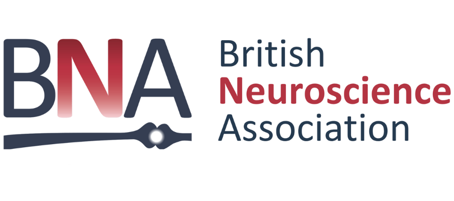 Introduction to Neurophysiology (webinar) | Edinburgh Neuroscience ...